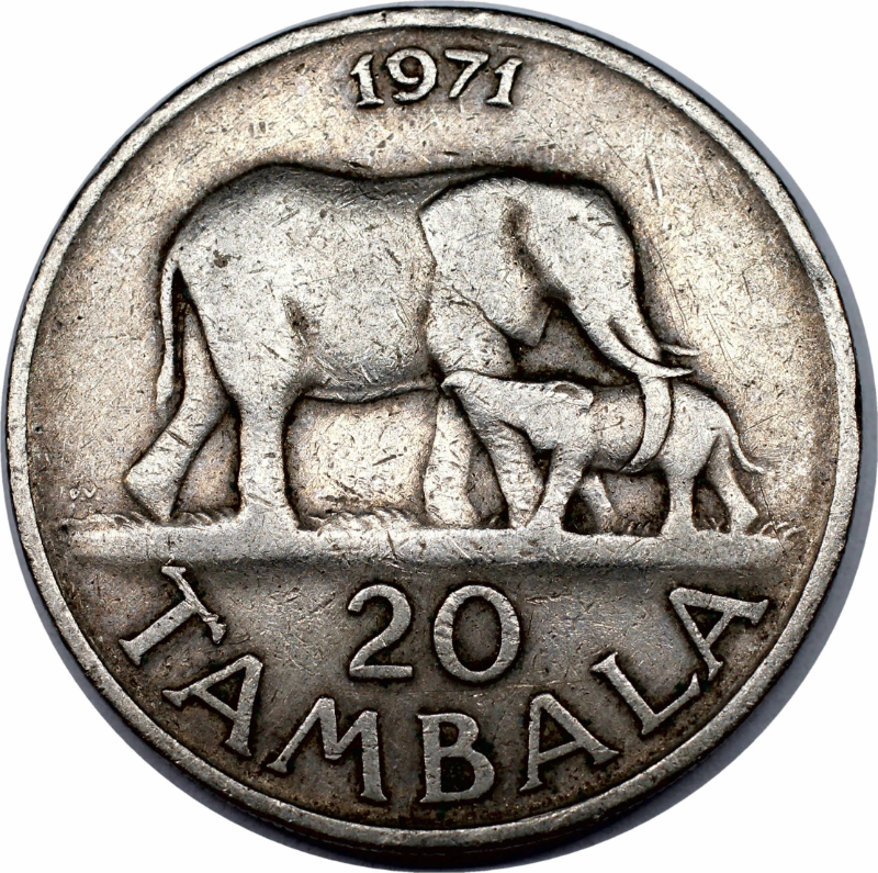 Malawi, 20 Tambala, Random Year, VF Used Condition, Original Coin for ...